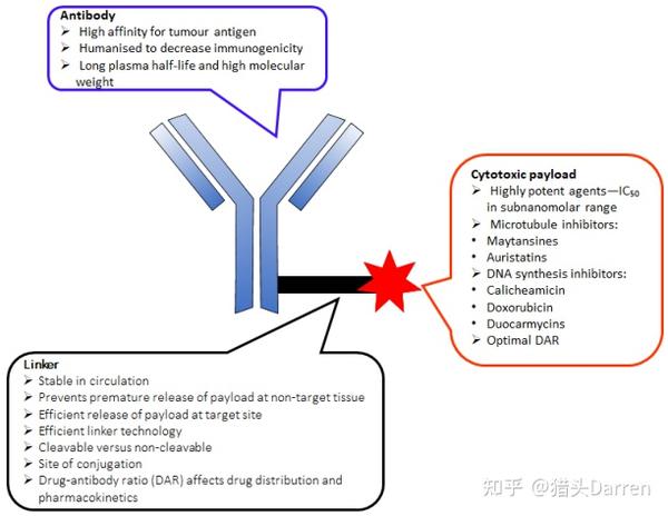ADC药物连接子全方位梳理 - 知乎