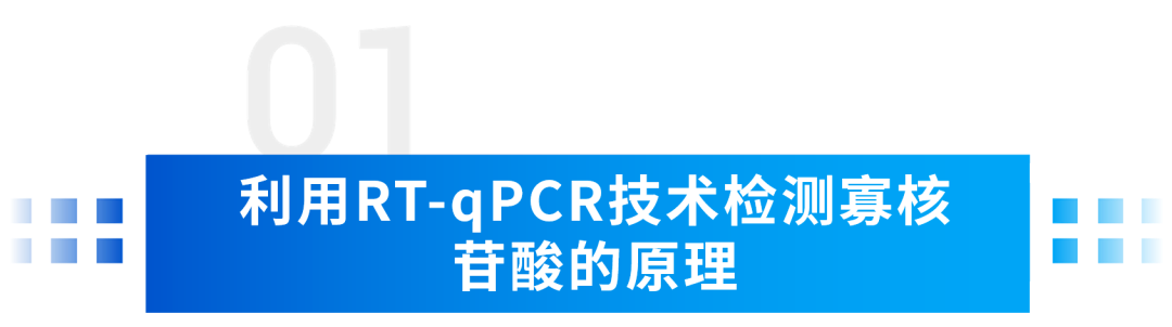 RT-qPCR技术在寡核苷酸DMPK定量分析中的应用 - 知乎