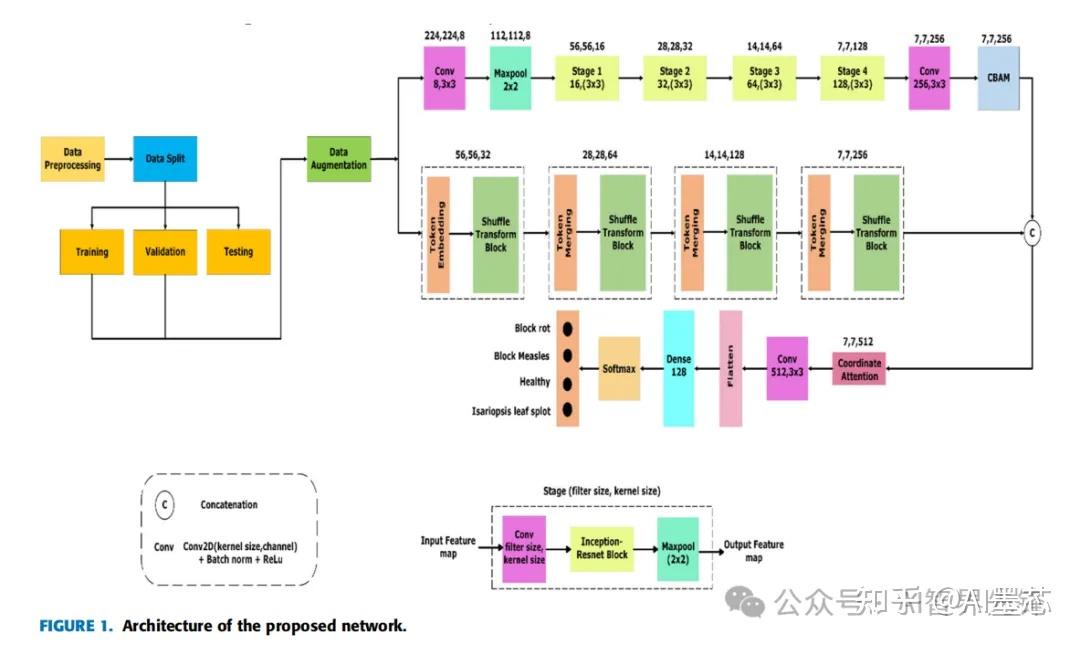 结合创新！ResNet+Transformer高性能低消耗，准确率超99%！ - 知乎