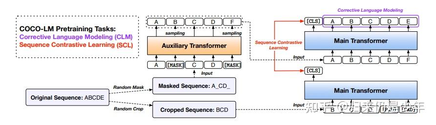 Deberta不再领先，微软提出新SOTA模型COCO-LM - 知乎