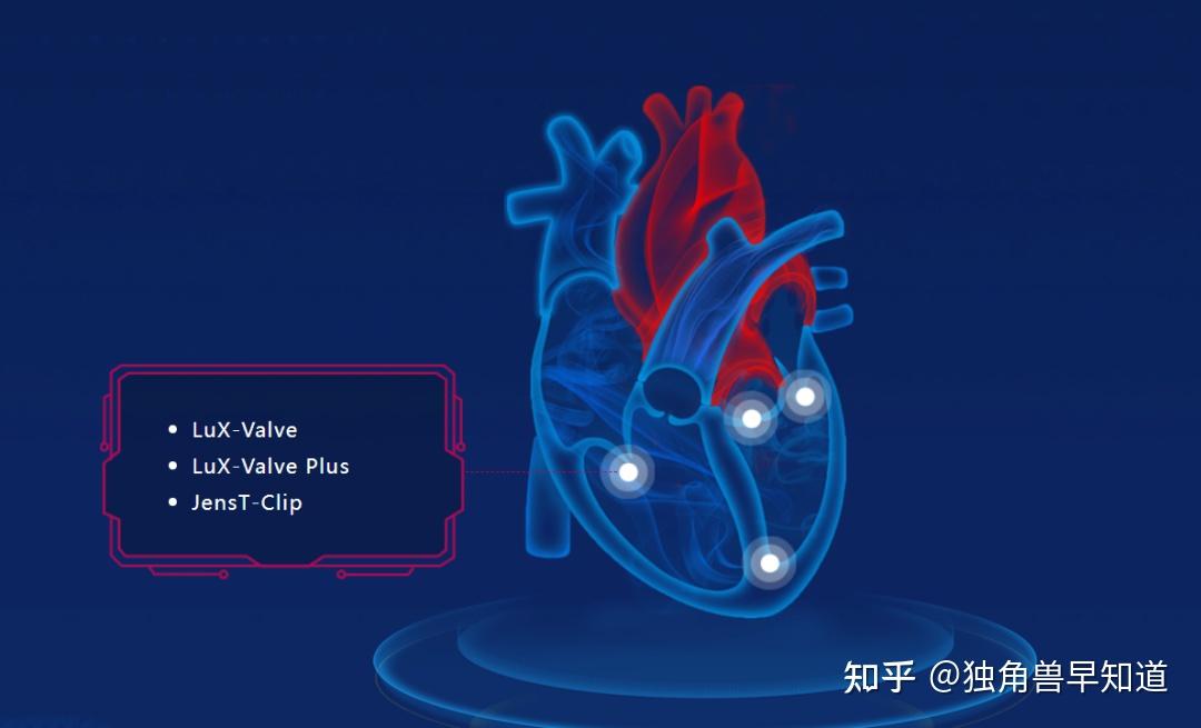 健世科技-B(09877)：LUX-VALVE PLUS的早期可行性研究PRE-SUBMISSION获FDA受理 - 知乎