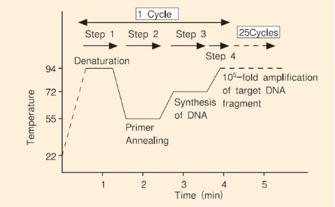 分子实验基础——明确PCR、RT-PCR、qPCR、RT-qPCR、real-time RT-PCR - 知乎