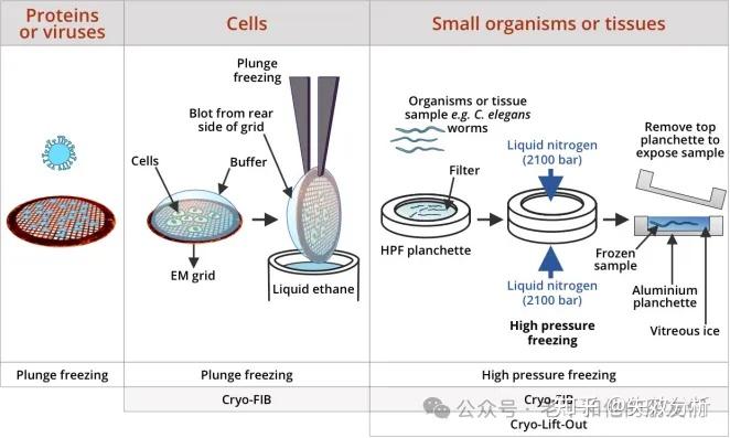 TEM专题 | 冷冻电镜断层成像（Cryo-ET）技术解读 - 知乎