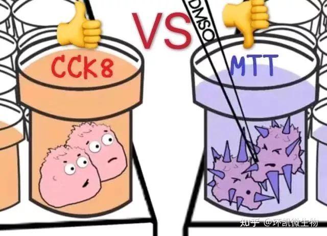 CCK-8法细胞活力检测技术大全（收藏版） - 知乎