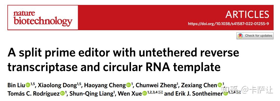 分离式的prime editor系统的灵活性极大增强，包装尺寸更小！ - 知乎