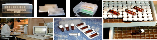 新药研发利器——ChemDiv类药多样性化合物库 - 知乎