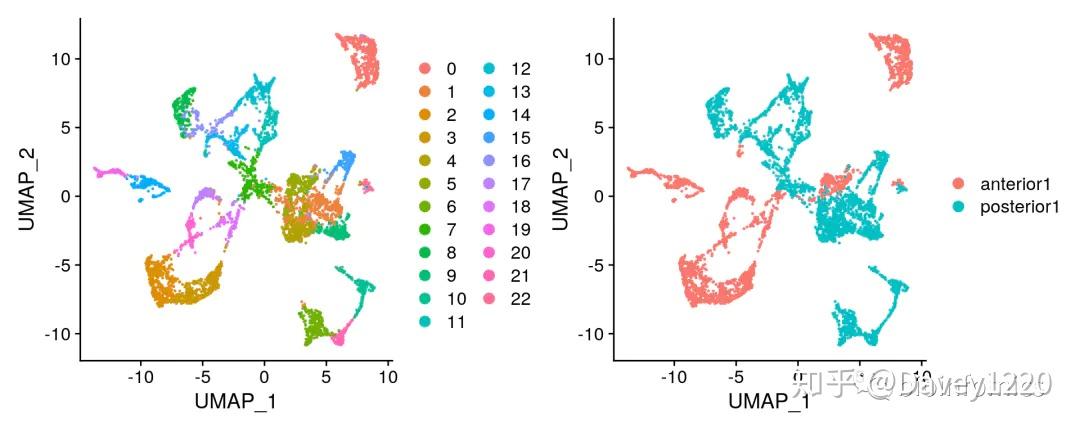 Seurat包学习笔记（三）：Analysis of spatial datasets - 知乎