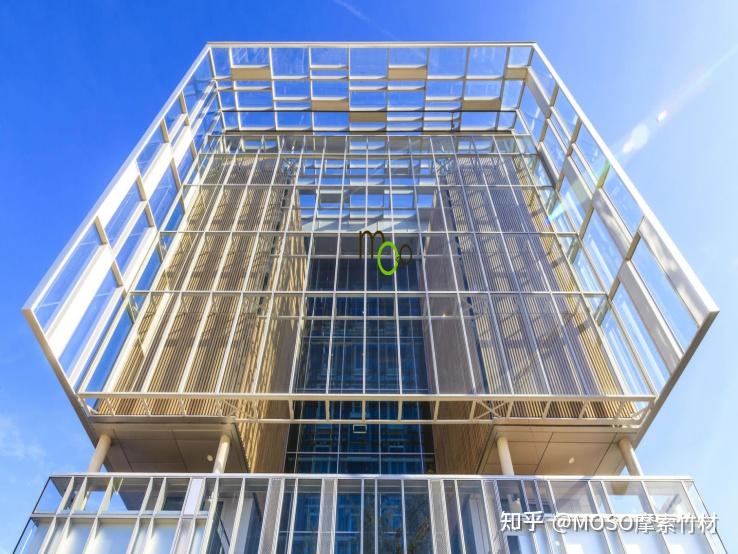 影响世界的植物 · MOSO BAMBOO - 知乎