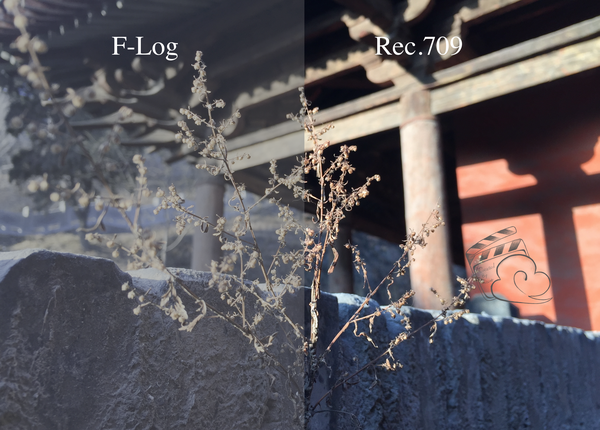 调色名词浅析——相机的 Log 模式 - 知乎