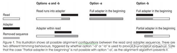 Cutadapt removes adapter sequences from high-throughput sequencing ...