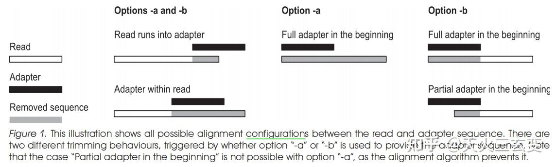 Cutadapt removes adapter sequences from high-throughput sequencing reads - 知乎