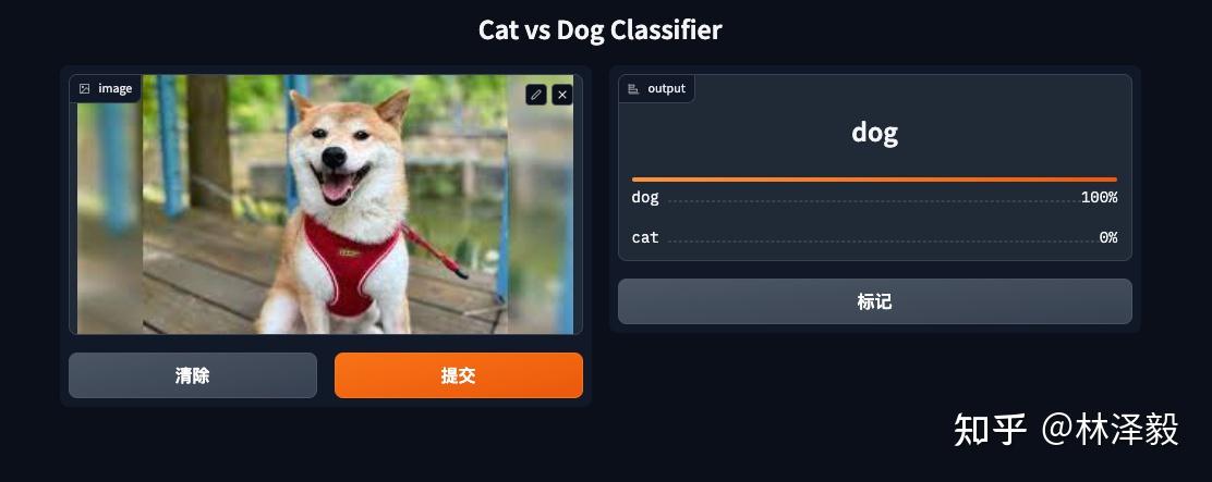PyTorch猫狗分类：从SwanLab可视化训练到Gradio Demo网站 - 知乎