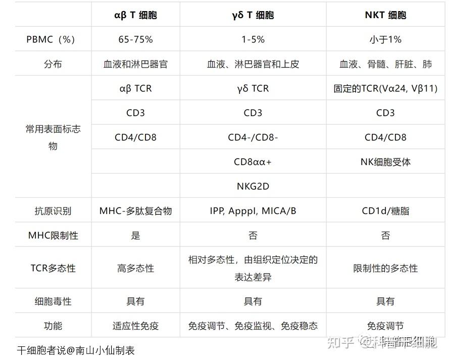 关于NKT细胞，你想知道的在这里 - 知乎