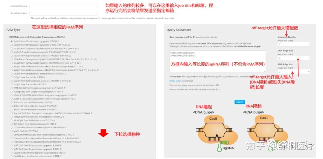 基因编辑工具分享（一） | sgRNA脱靶预测线上工具Cas-Offinder - 知乎