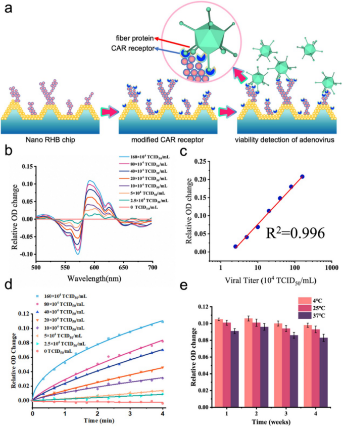 精选干货丨光学表面等离子共振仪SPR技术应用合集来了 - 知乎
