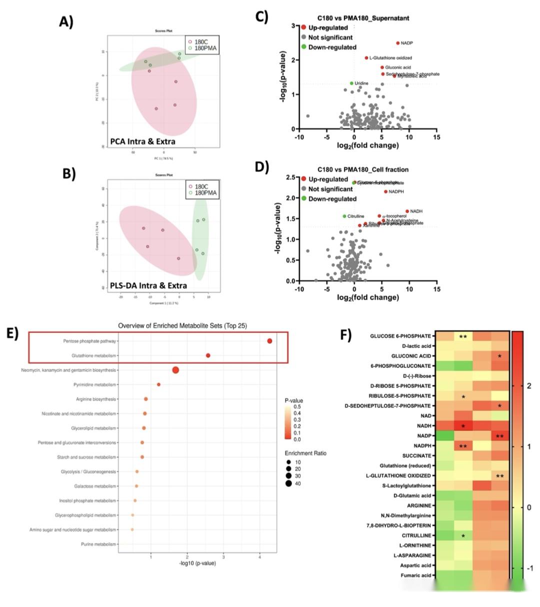 BBA丨中性粒细胞NETs与细胞代谢的关系 - 知乎