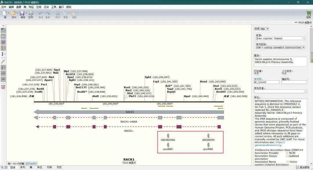 SnapGene Viewer软件序列可视化操作 - 知乎