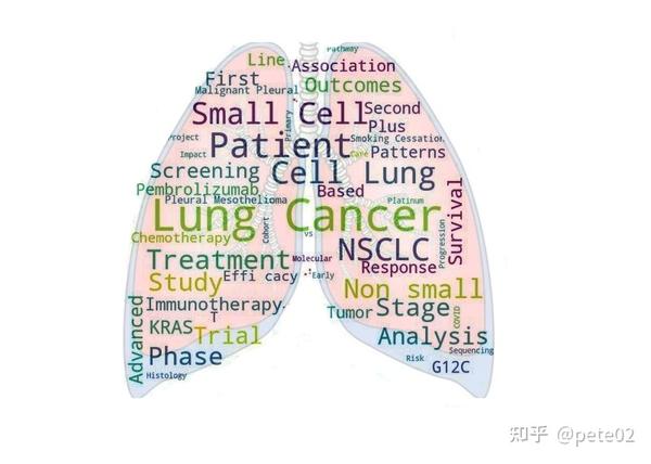 使用Python生成词云（英文词云） - 知乎