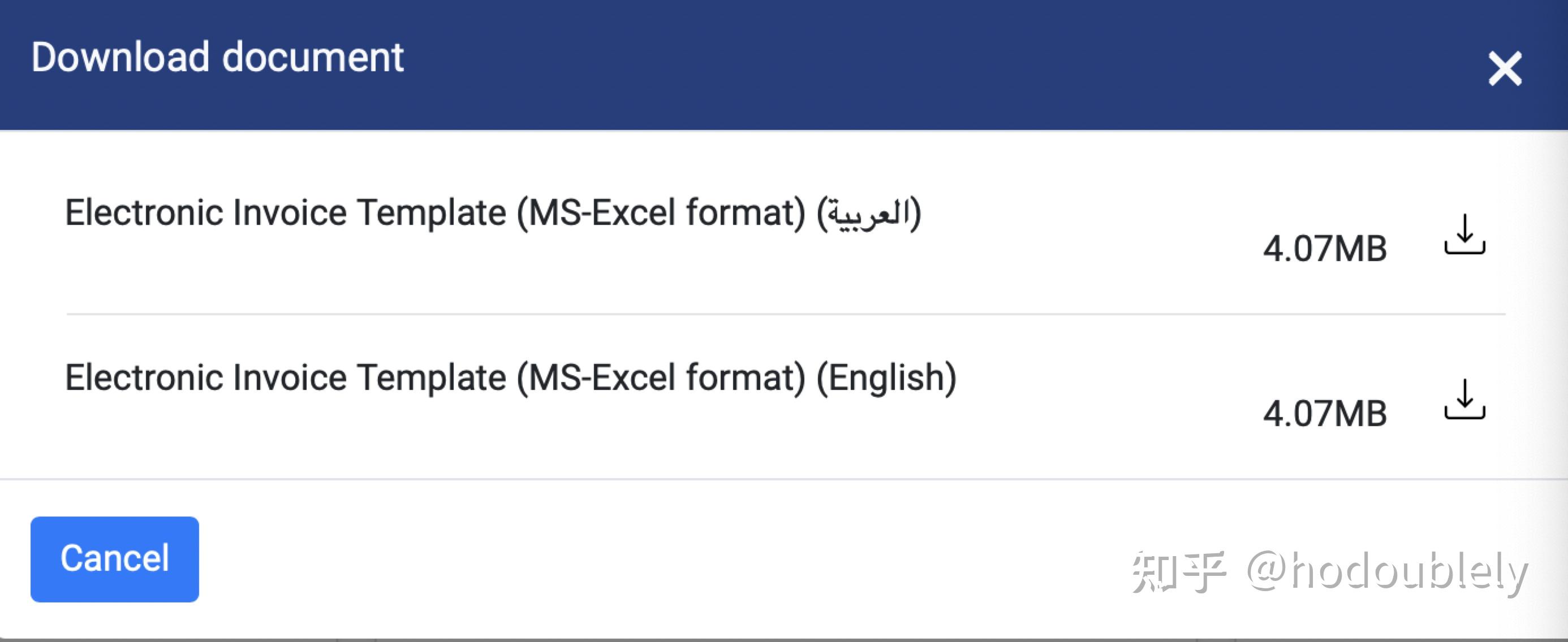 埃及CargoX认证及上传单据成功全记录和常见问题！ - 知乎