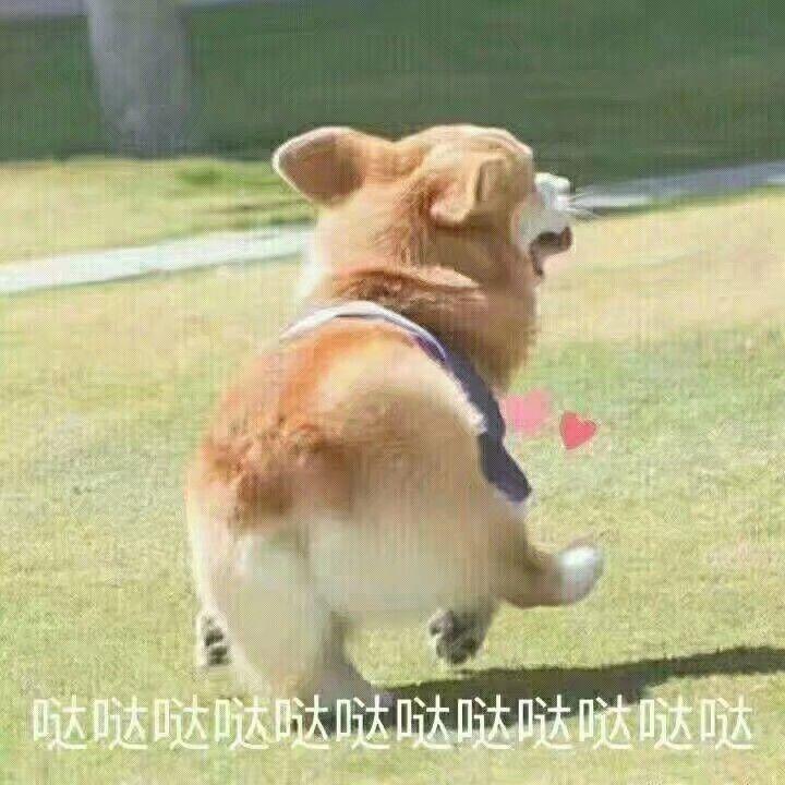 你有哪些非常搞笑的表情包？ - 知乎