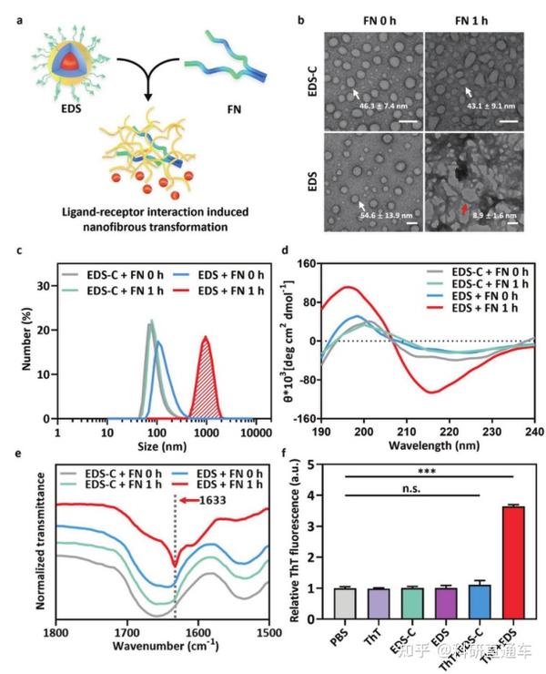 研究前沿｜逆转耐药 提高化疗敏感性！Adv. Mater：可转化的ECM剥夺系统有效抑制肾细胞癌 - 知乎