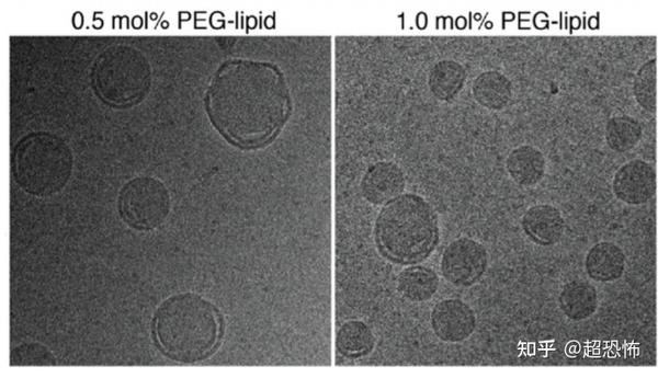 LNP中PEG脂质的作用 - 知乎