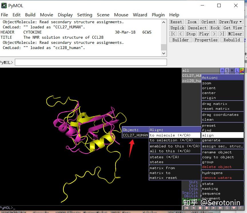 PyMOL小白自留教程6——蛋白结构的比对 - 知乎