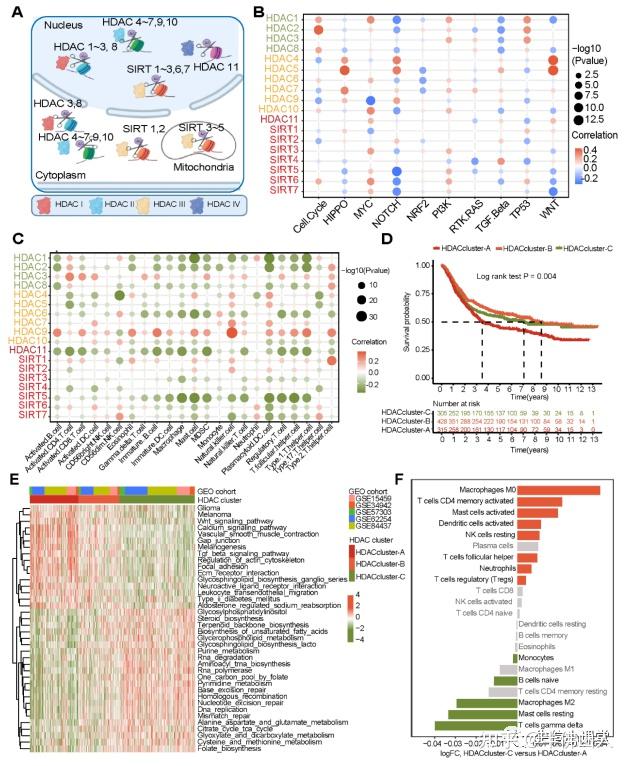 12+SCI，肿瘤分型+评分+自测数据验证+实验验证。做到这些工作，你也可以发10+！ - 知乎