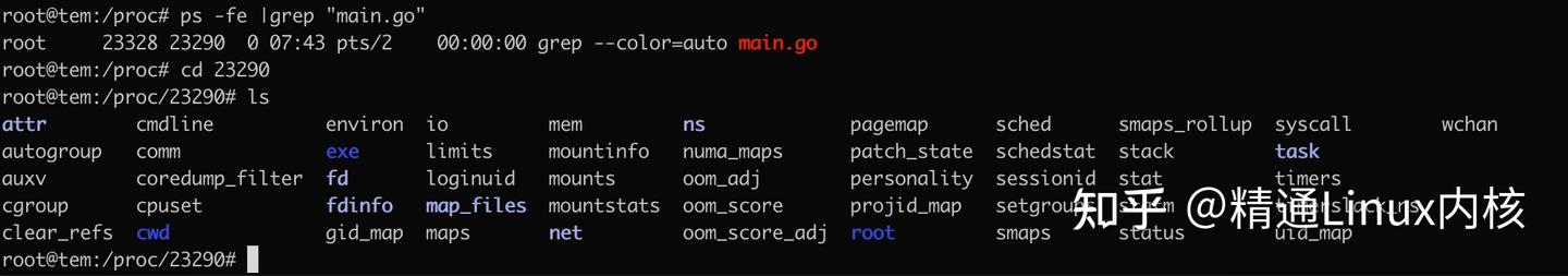 Linux内核：进程管理——进程文件系统 /proc详解 - 知乎
