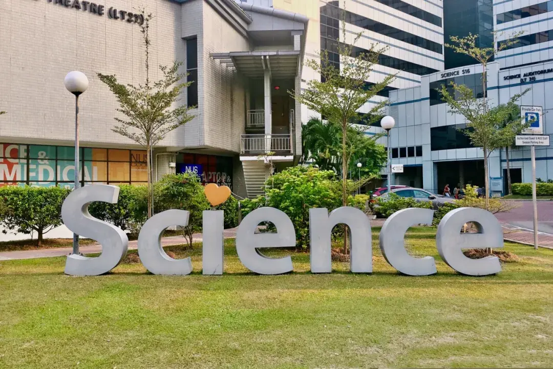 NUS和港大同一天开放申请，22fall抢人大战越卷越烈... - 知乎