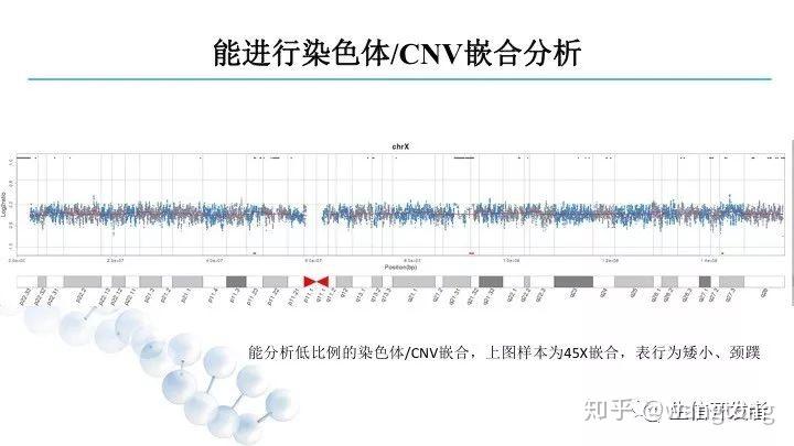 CNV数据分析 - 知乎
