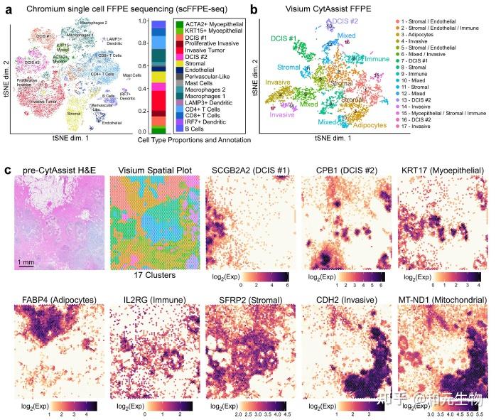 FFPE石蜡样本多组学解决方案 - 知乎