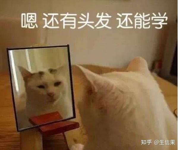 CNV变异检测软件cnvnator - 知乎