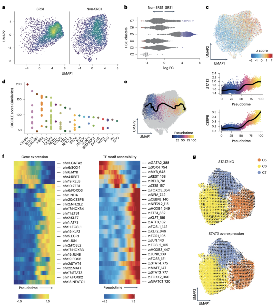 Nature Immunology丨中性粒细胞和急性粒细胞生成导致脓毒症期间的免疫抑制和极端反应内型 - 知乎