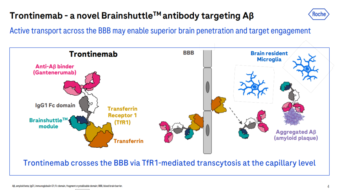 一文揭秘！肿瘤和脑部疾病治疗新靶点--TFR1 - 知乎
