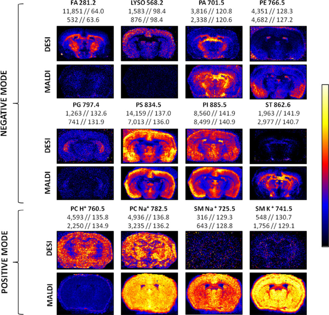 文献速递 | MALDI & DESI两种成像技术在脂质组学中的互补性研究 - 知乎