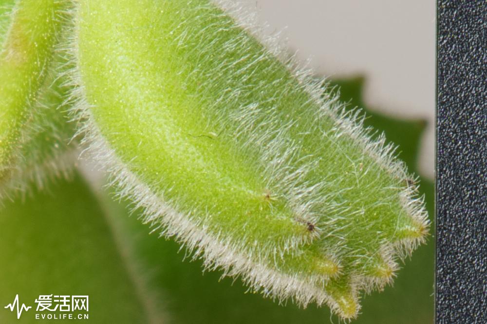 索尼全幅微单Alpha 7R IV评测：问鼎高像素机皇？ - 知乎