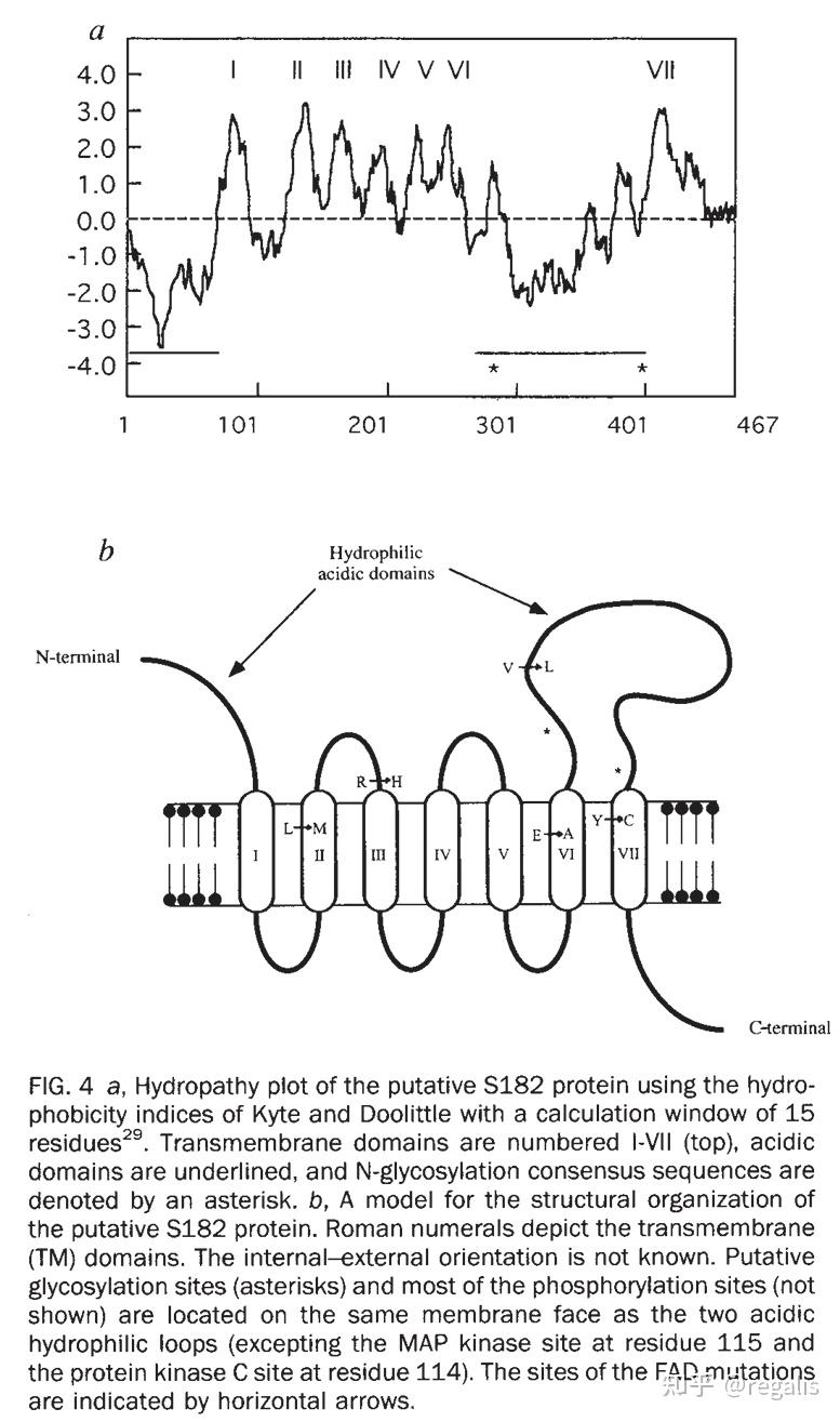 presenilin-1/2的发现与early-onset AD - 知乎