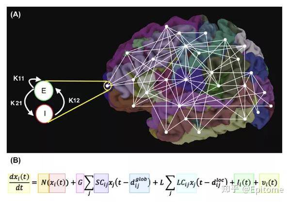 TheVirtualBrain: Brain Network Dynamics Simulator - 知乎