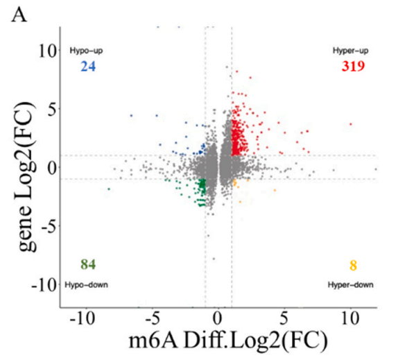 转录组该如何与m6A-seq关联 - 知乎