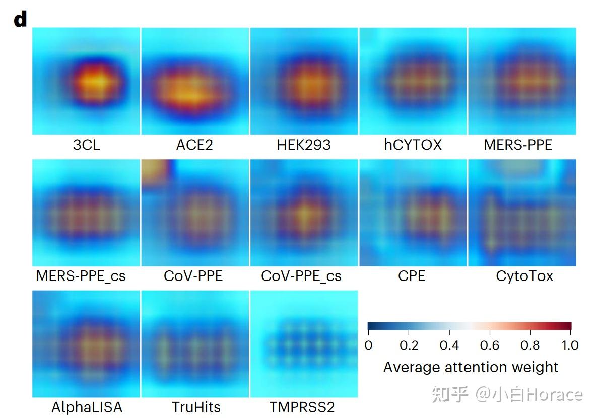【AIDD系列】ImageMol论文精读 - 知乎
