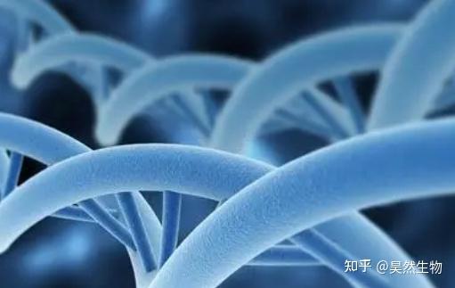 金属螯合物-DOTA-PEG-Chondroitin sulfate，DOTA-聚乙二醇-硫酸软骨素 - 知乎