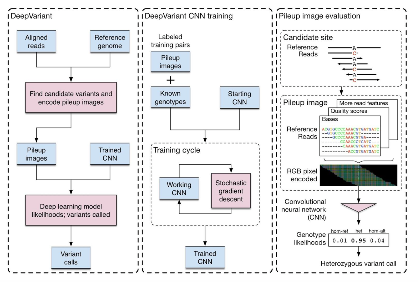 DeepVariant: 用卷积神经网络进行DNA序列变异位点检测 - 知乎