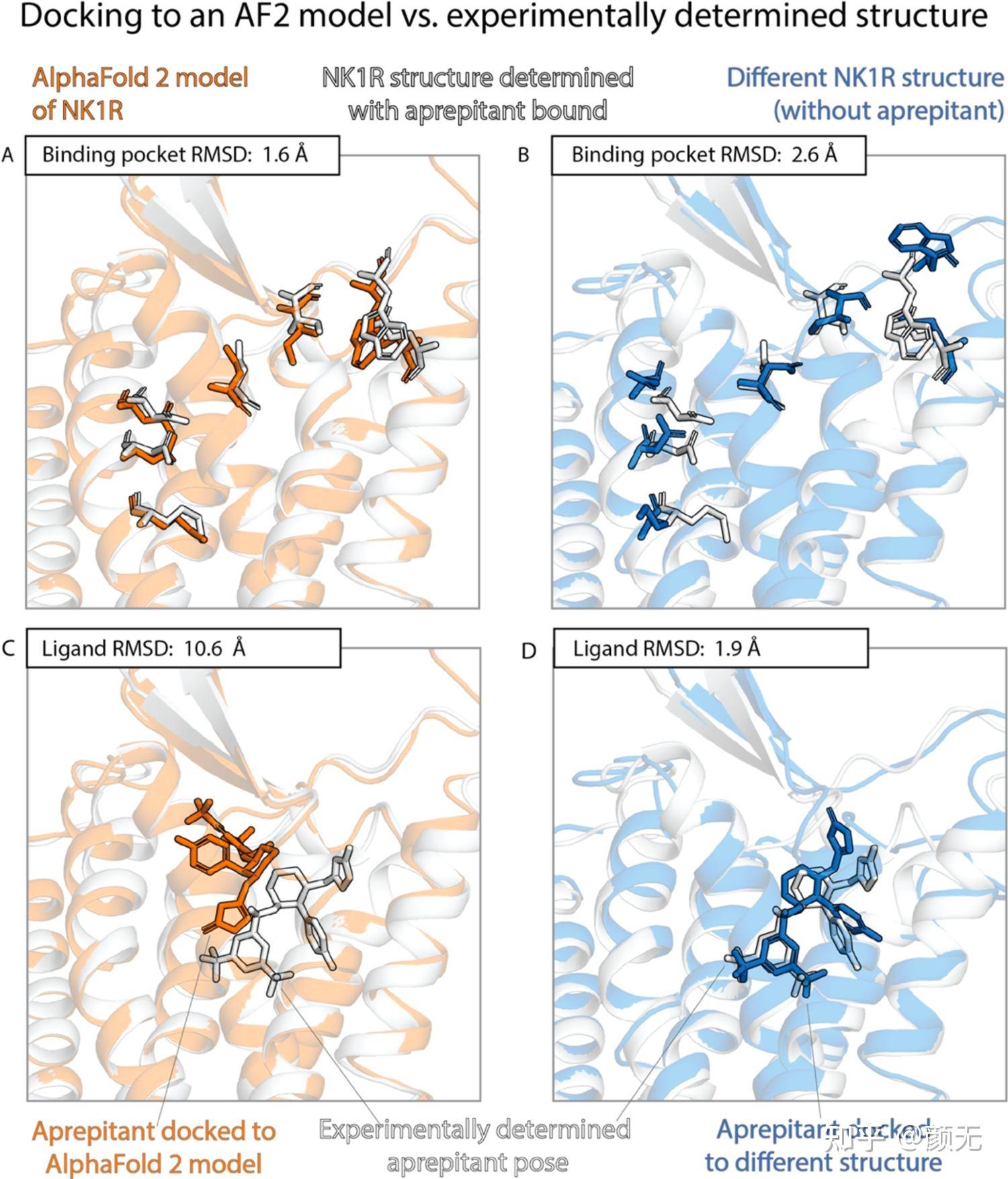 使用AlphaFold2模型预测药物结合模式How accurately can one predict drug binding modes ...