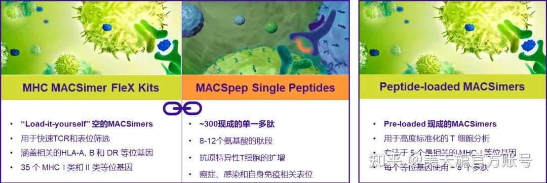新品推荐——MHC MACSimer提供抗原特异性T细胞检测的完整解决方案 - 知乎
