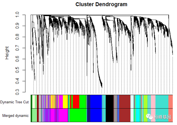 RNA 13. SCI 文章中加权基因共表达网络分析之 WGCNA - 知乎