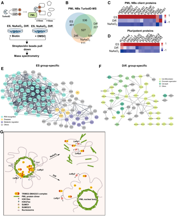 直击BioID、TurboID和APEX2三强对决：蛋白临近标记技术全解析！ - 知乎