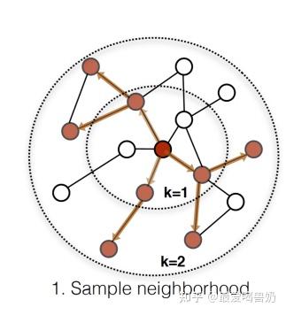 PYG实现Graphsage+Cora数据集 - 知乎