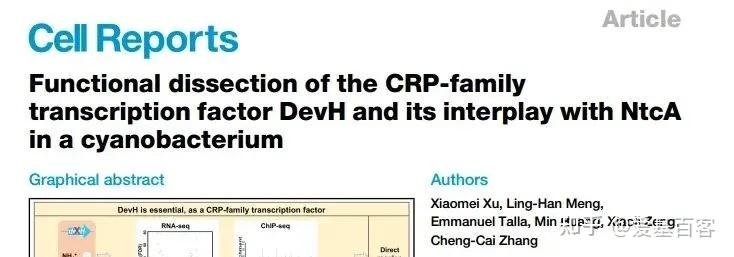 Cell Rep项目文章|中国科学院水生生物研究所利用ChIP-seq揭秘蓝藻转录因子DevH与NtcA的“协作密码” - 知乎