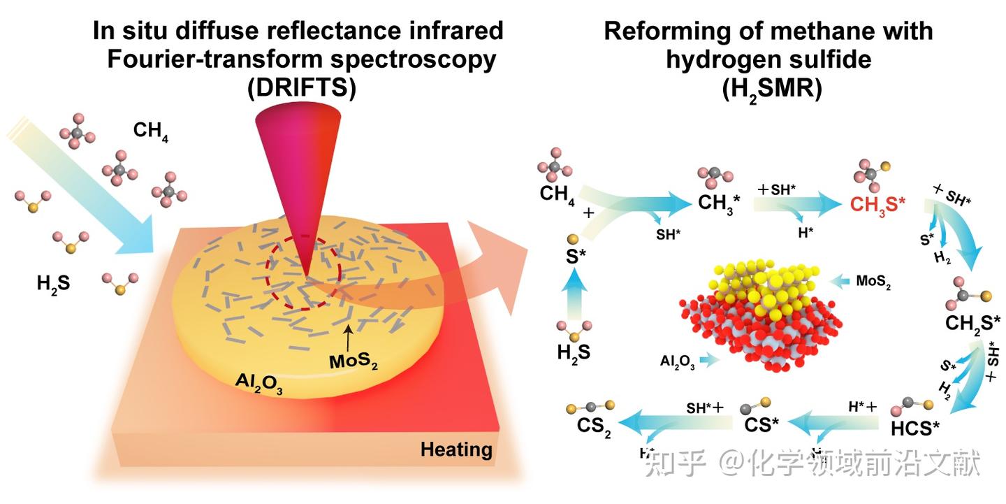 【J. Catal.】西南石油大学周莹/黄泽皑：揭示Mo/Al₂O₃催化剂上CH₃S*中间体在高效催化甲烷与硫化氢重整中的作用 - 知乎